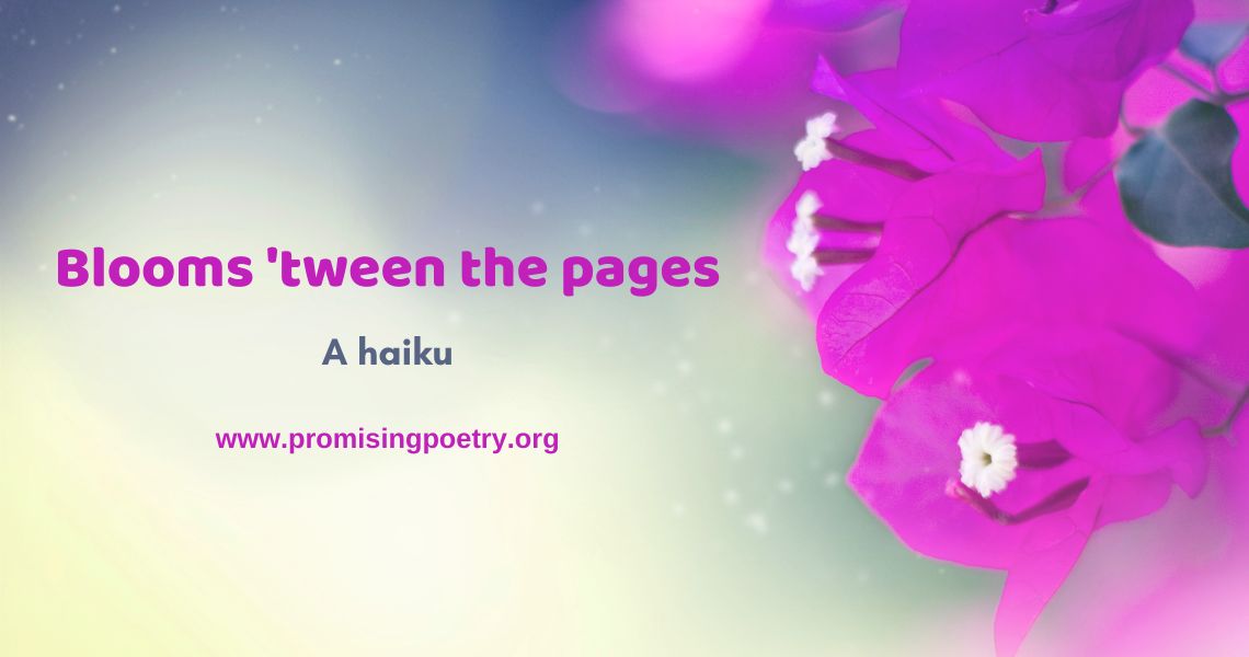 Blooms 'tween the pages- A haiku - Promising Poetry